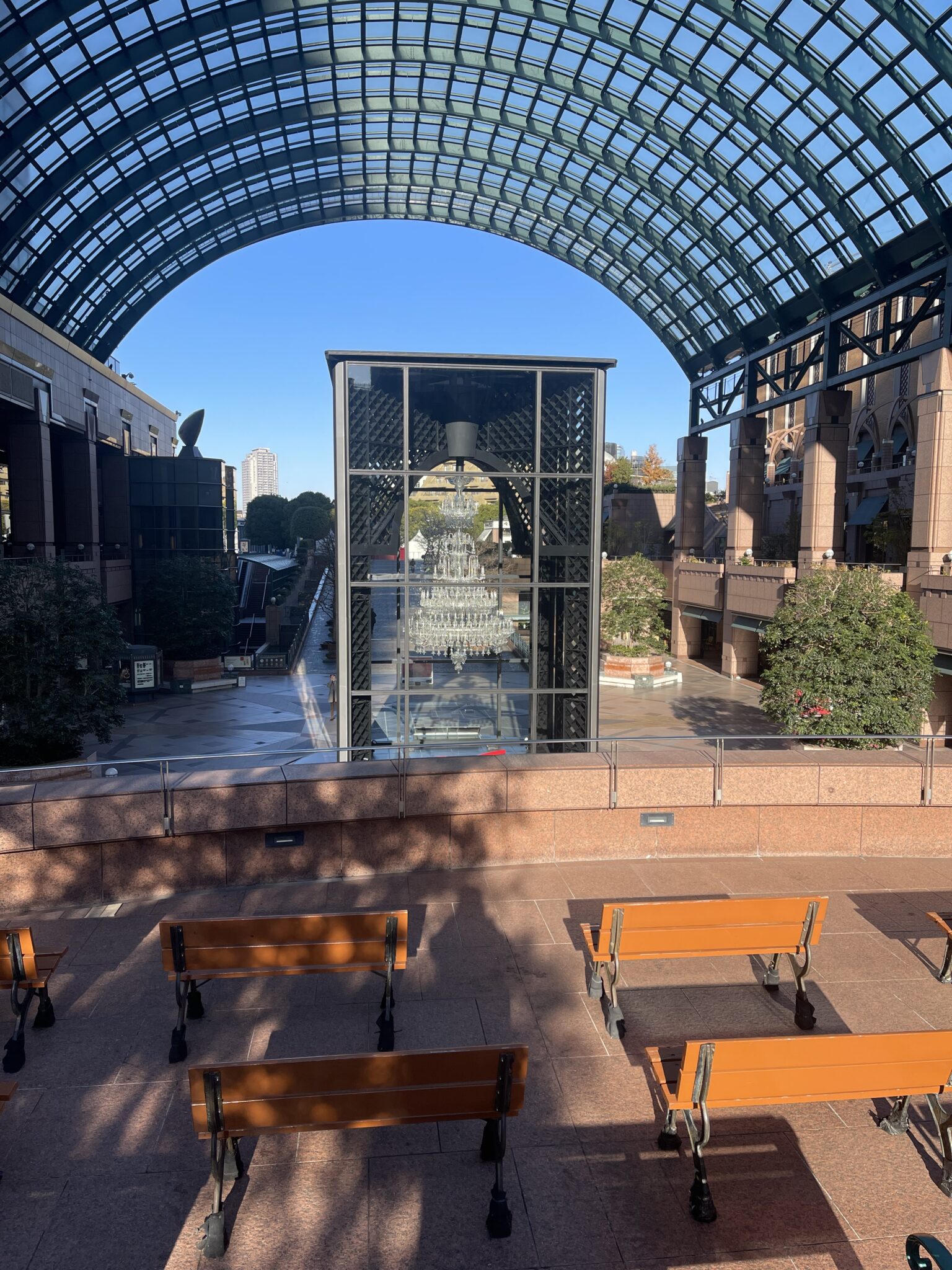 早起きと朝の散歩って身体の根本を良くします | 恵比寿 – さくま整体院（接骨院併設）